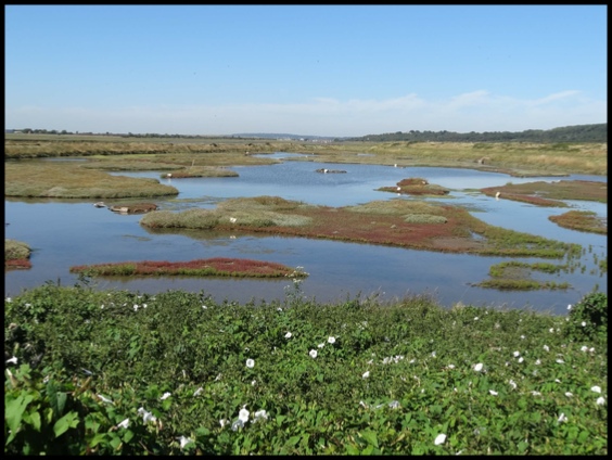 A Walk to Two-Tree Island